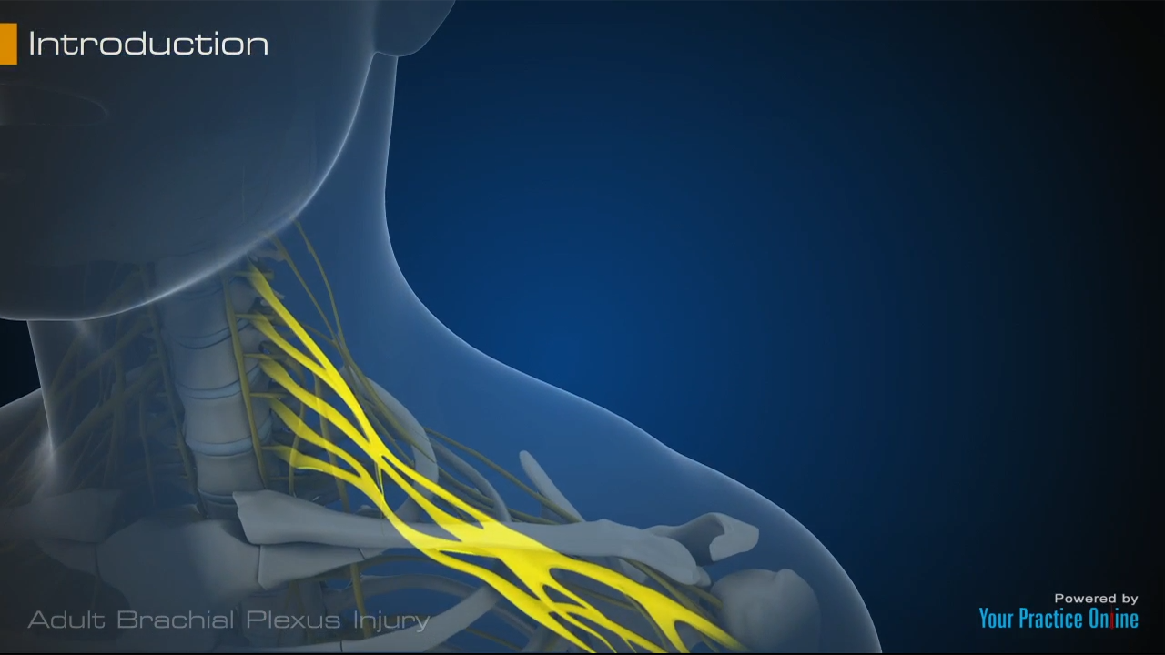 Adult Brachial Plexus Injury Video | Medical Video Library