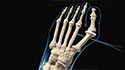 Orthopaedics | Orthopedic Surgery Videos | Your Practice Online Education